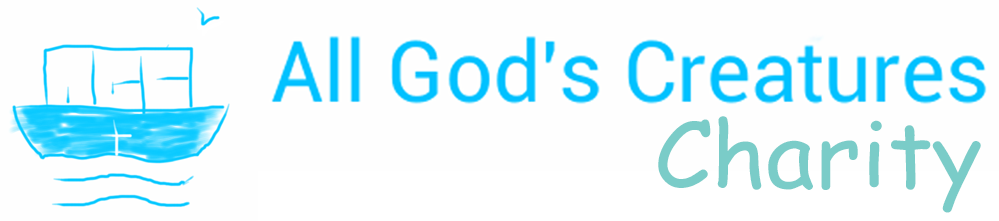 Animal Welfare - All God's Creatures